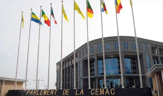 La CEMAC impulsa la armonización del Sistema de Educación superior en ...