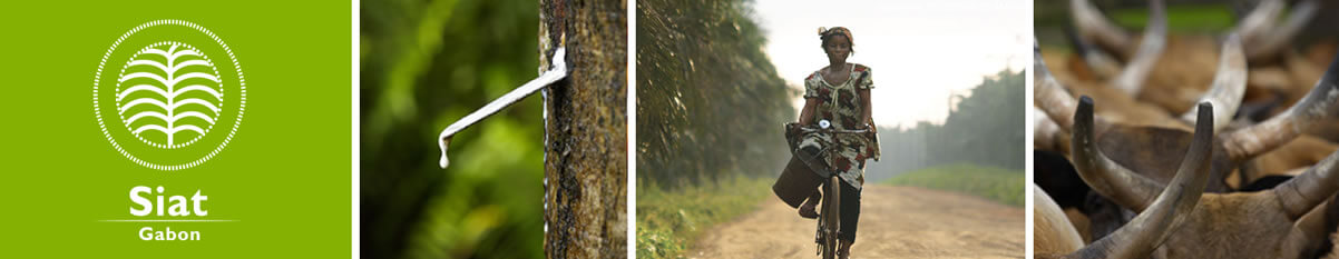 El Mercado financiero de África Central , instituciones, empresas ...