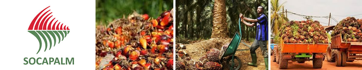 El Mercado financiero de África Central , instituciones, empresas ...